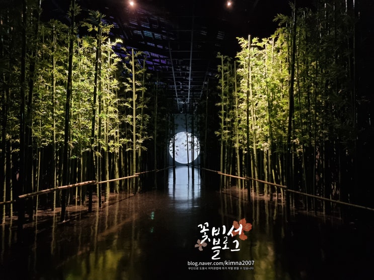 담양 딜라이트 할인 실내 가볼만한 곳 입장료 전시 관람시간 확인 네이버 블로그