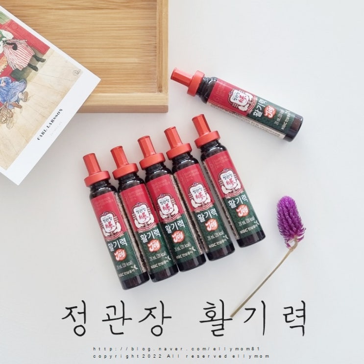 직장인선물 회사직원선물 추천 정관장 활기력 Joy 네이버 블로그