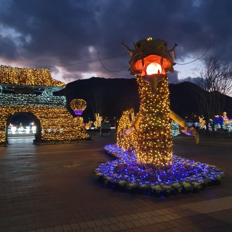 황산공원 불빛정원/ 일상 속 조용한 빛축제 : 네이버 블로그