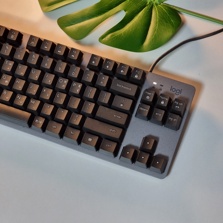적축 키보드 추천 로지텍 K835 TKL 타건감이 남다르네요 : 네이버 블로그
