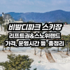 홍천 비발디파크 스키장 리프트권 스노위랜드 입장권 가격 할인 새벽 운영시간 네이버 블로그