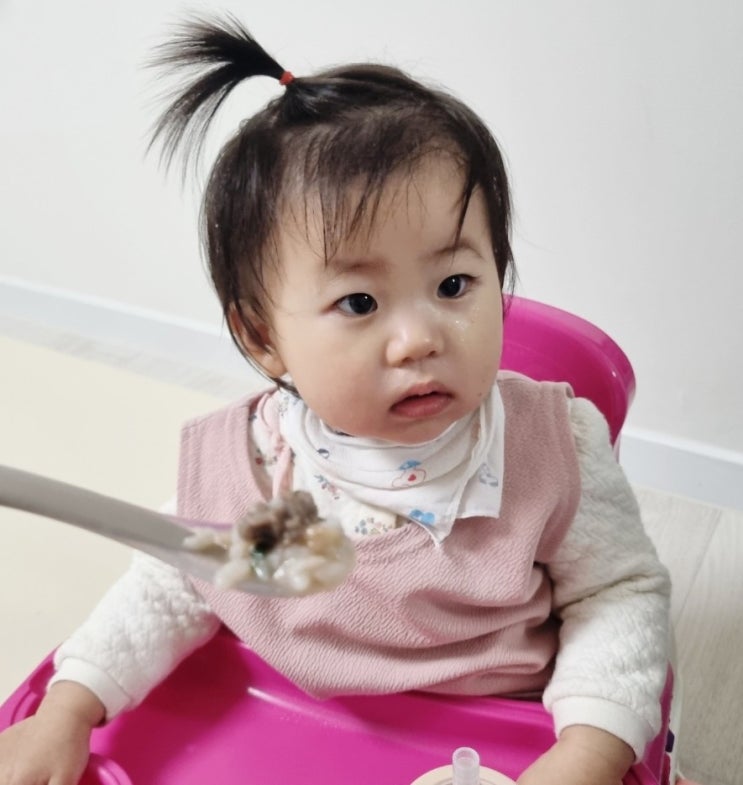 이유식소고기큐브 추천 부자미트 무항생제 한우 우둔살 1등급 이유식 다짐육 네이버 블로그