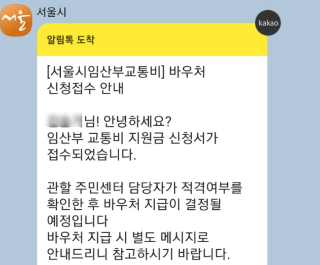 임신기록 14 임신 13주차 기록 서울시 임산부 교통비 지원금 신청 방법 임신소양증 계속되는 입덧 초기기형아검사