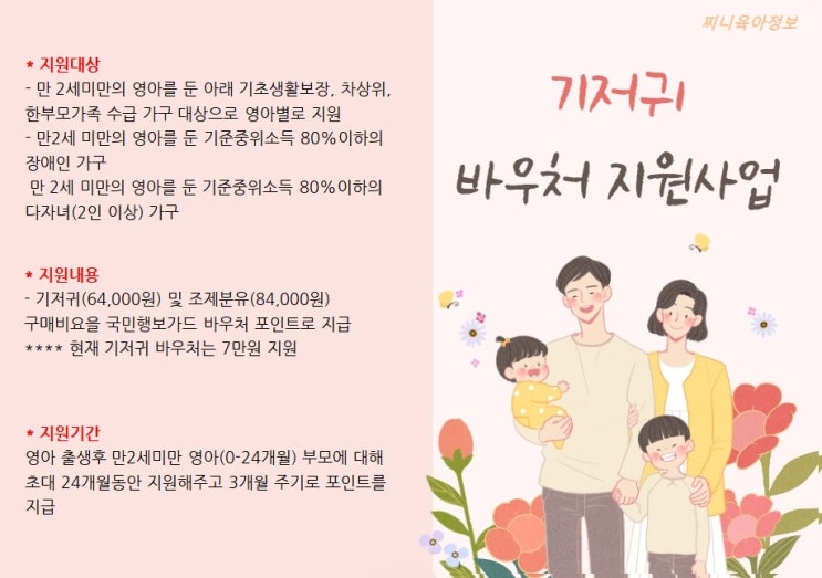 사회서비스 전자 바우처 가입방법 잔액조회쌍둥이 기저귀 바우처 신청 및 사용처 네이버 블로그