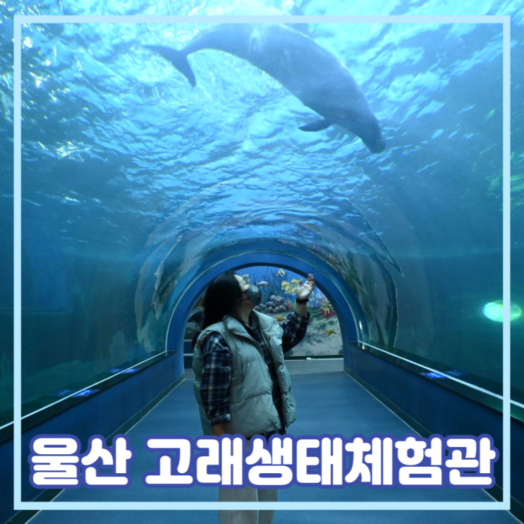 장생포 고래생태체험관 울산 가볼만한 곳 남방큰돌고래 아이와 함께 가기 좋은 곳 네이버 블로그