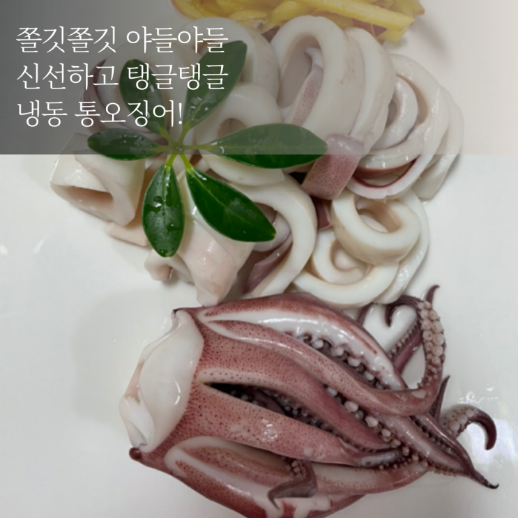 냉동 통오징어 숙회 오징어 데치기 오징어 초무침 술안주만들기 : 네이버 블로그