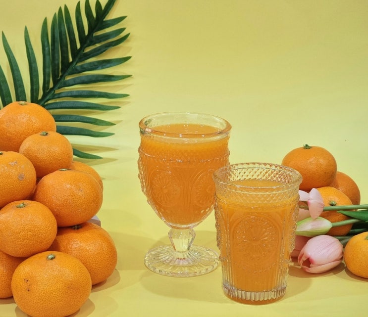 온유한가 귤농장 쥬스용 파지귤로 쥬스만들기 : 네이버 블로그