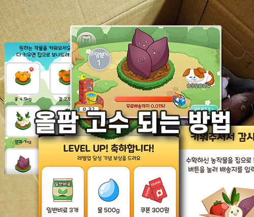올팜 농작물 빨리 키우는 방법 올웨이즈 올팜 고수의 재배 노하우 물받기 비료받기 재배순서 지침서 네이버 블로그