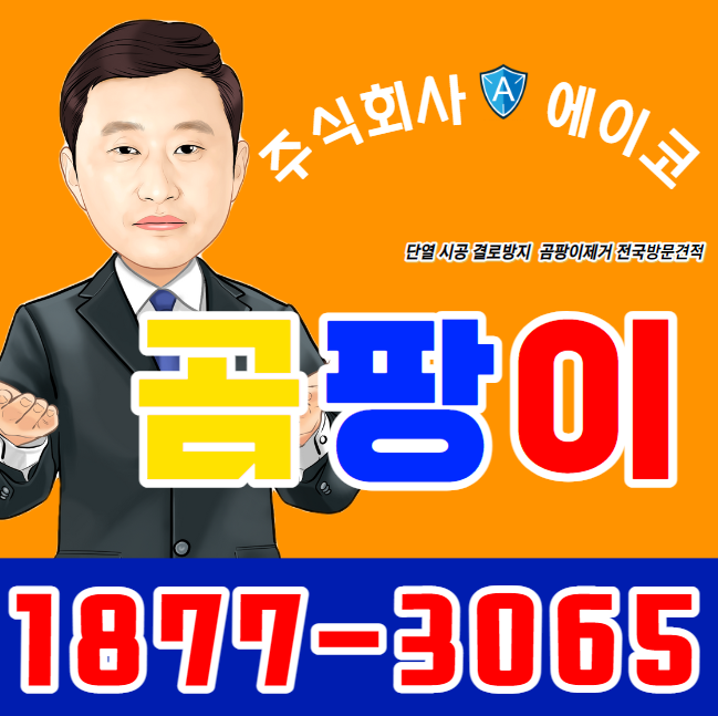 신축아파트 곰팡이 제거 단열 스프레이 시공벽지 벽면방문 견적 네이버 블로그