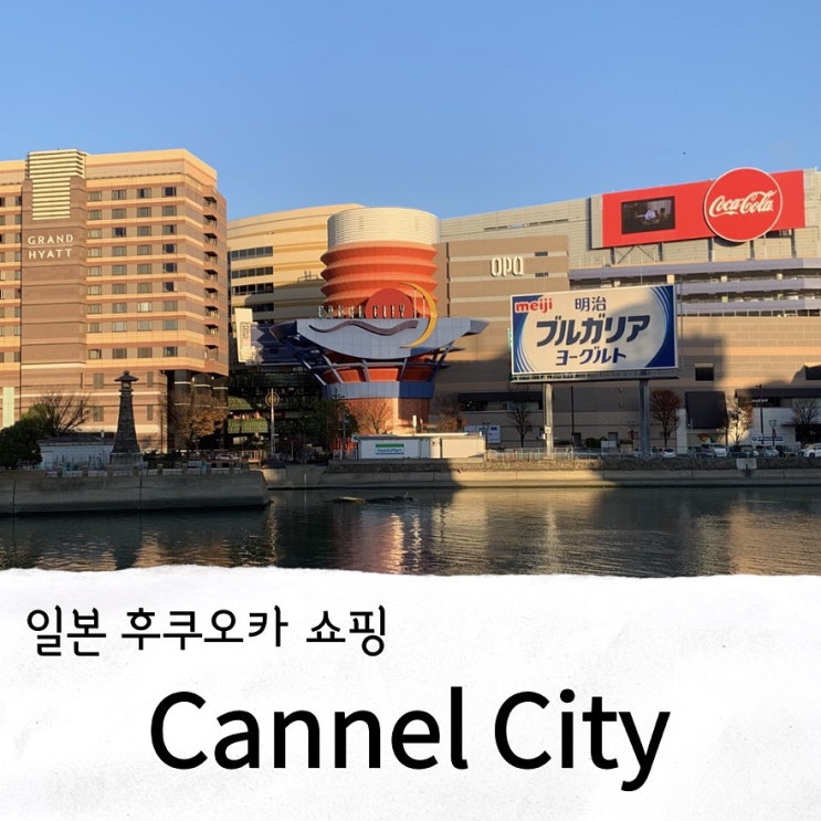 일본 후쿠오카 여행 캐널시티 하카타 아이 쇼핑 구경니코 Niko 자라 Zara 프랑프랑 Francfranc 네이버 블로그