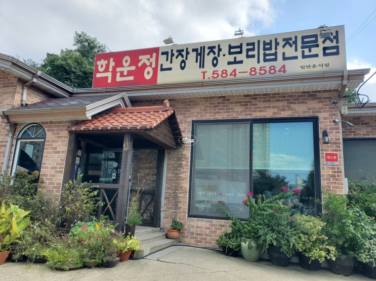 내돈내산 한끼 든든하게 건강식으로 산채보리밥 갈치조림 간장게장 서구맛집 학운정 네이버 블로그