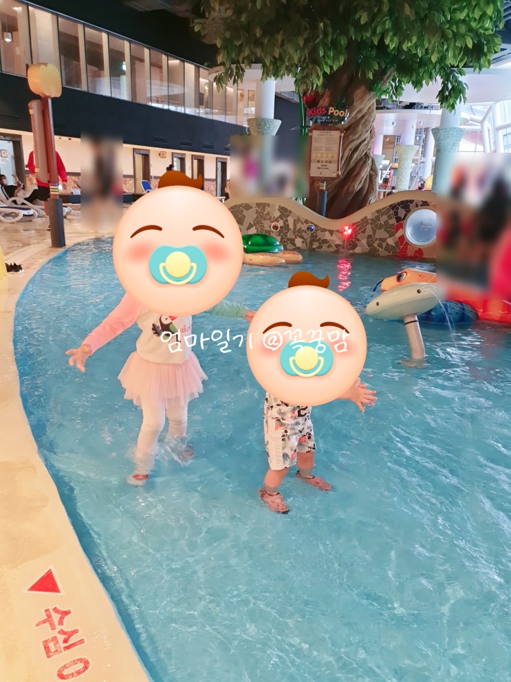 제2탄 아이들과 제주도 겨울 여행 제주 신화월드 워터파크 이용 솔직 후기🏊‍♂️ 네이버 블로그