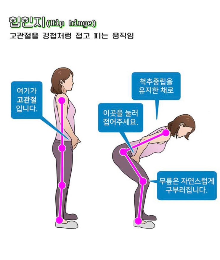 천호동헬스 천호동pt 힙힌지hip Hinge 그게 뭐고 어떻게하는건데 네이버 블로그