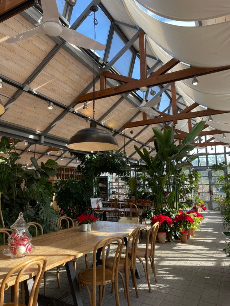 에덴파라다이스호텔3(조식+티하우스에덴+이진상회) : 네이버 블로그