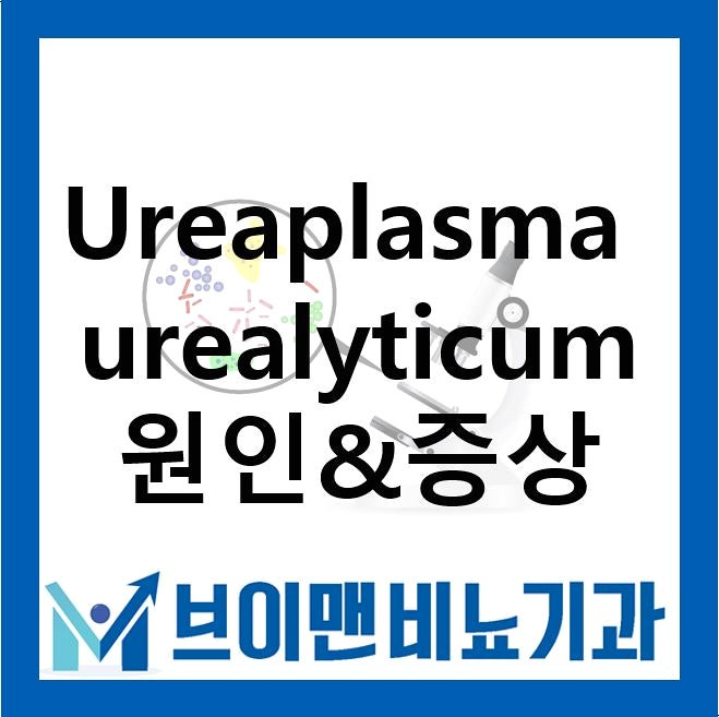 Ureaplasma urealyticum 원인 무엇일까 : 네이버 블로그