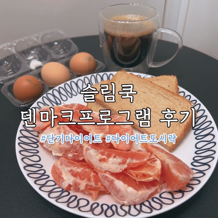 단기 다이어트 식단 슬림쿡 덴마크프로그램 후기 네이버 블로그