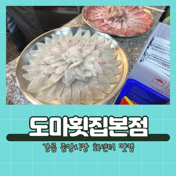 강릉중앙시장회센터 도마횟집 가성비 좋은 물회 회포장 네이버 블로그