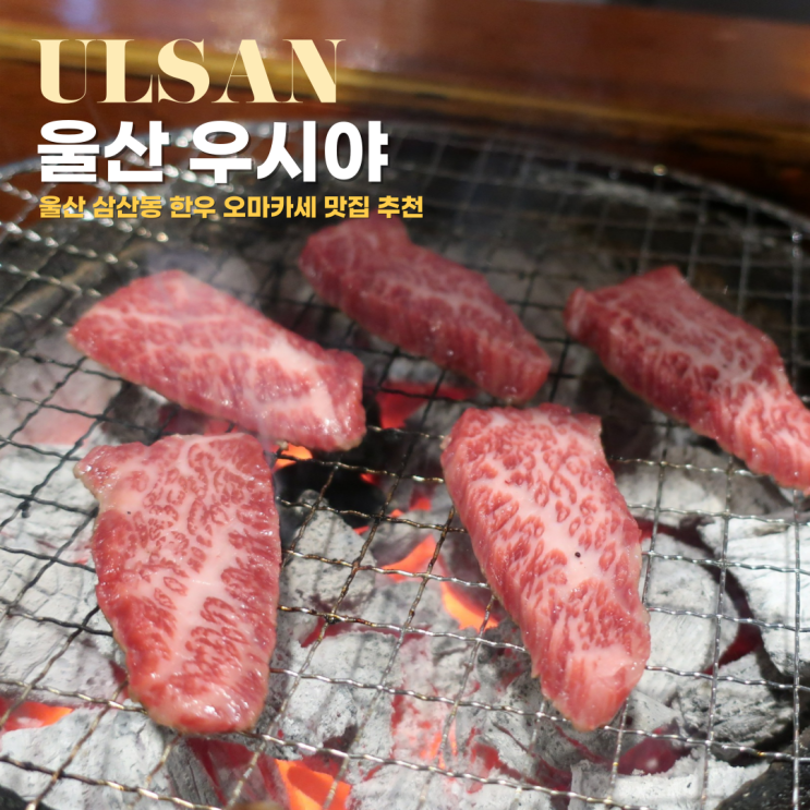 울산 한우 오마카세 삼산동 소고기 맛집 우시야 네이버 블로그