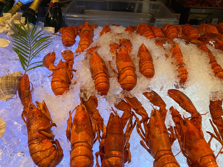코엑스 바이킹스워프 무제한 랍스타부페 모든 음식사진 다찍음 솔직한 내돈내산 후기 네이버 블로그