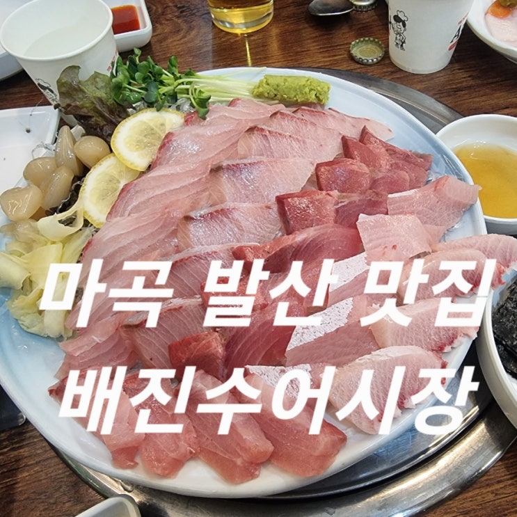 마곡발산 맛집 배진수어시장 대방어 가성비 갑 수산시장분위기 예술 네이버 블로그