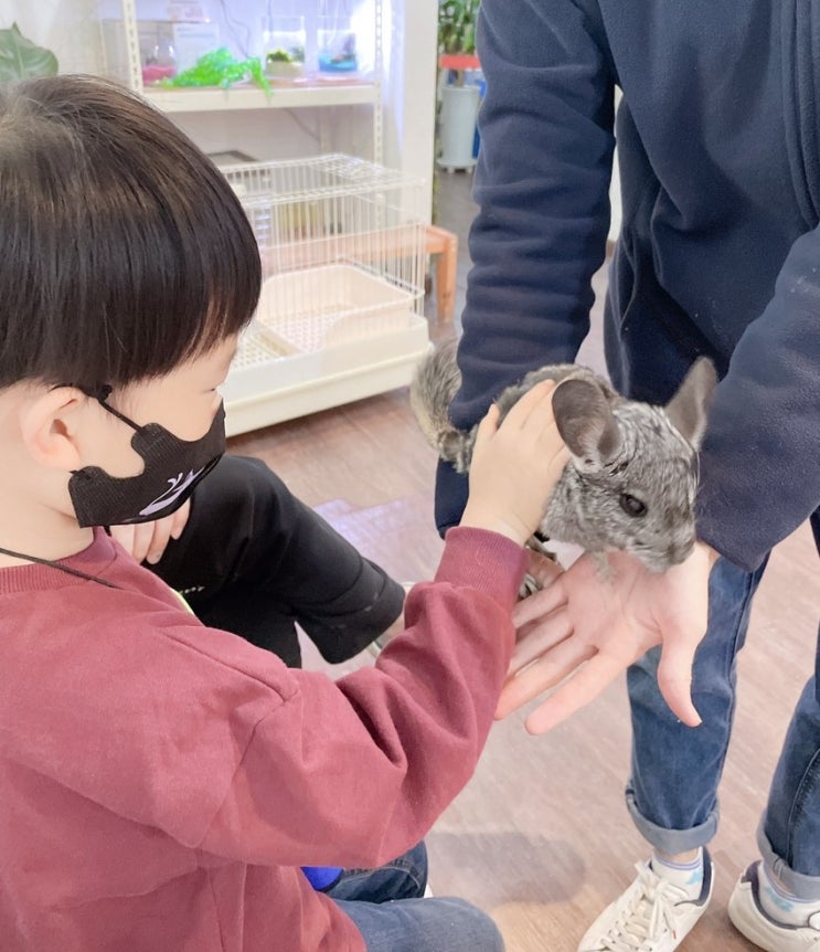 우리집 곤충박사와 화성 센트럴 곤충 생태 농장 방문기 네이버 블로그