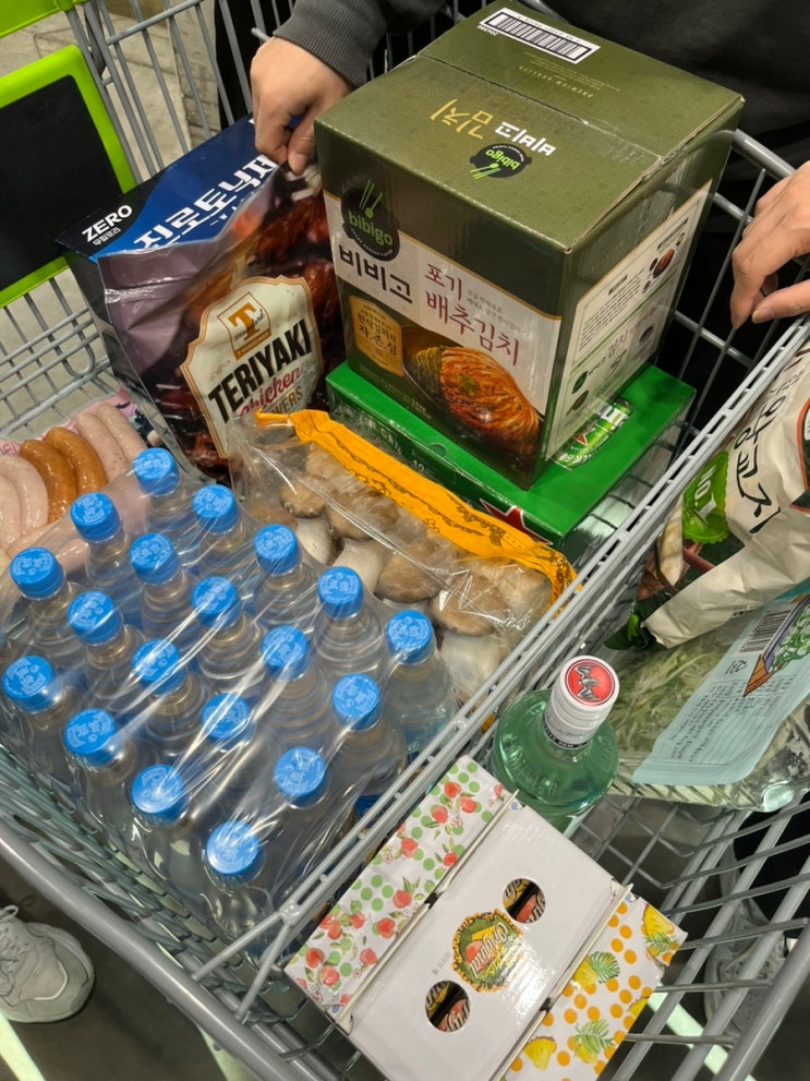 일상복귀 : 네이버 블로그