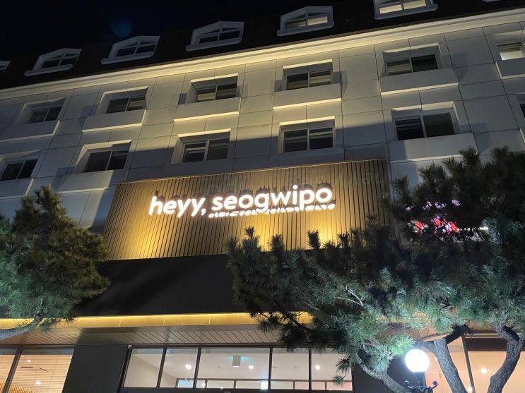 겨울 제주여행 1일차 올레시장과 가까운 숙소 헤이서귀포 네이버 블로그
