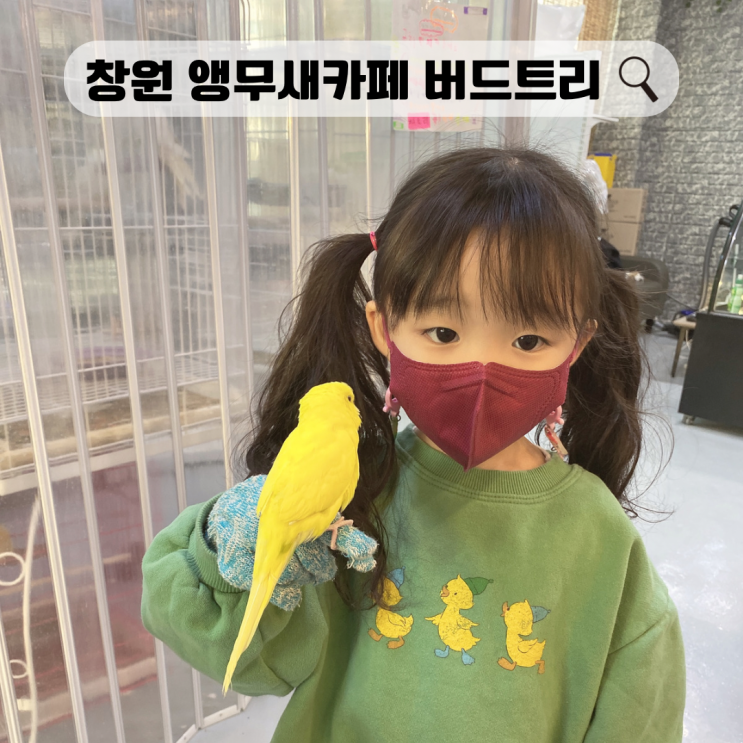 창원 아이와 가볼만한곳 앵무새카페 현동 버드트리 네이버 블로그