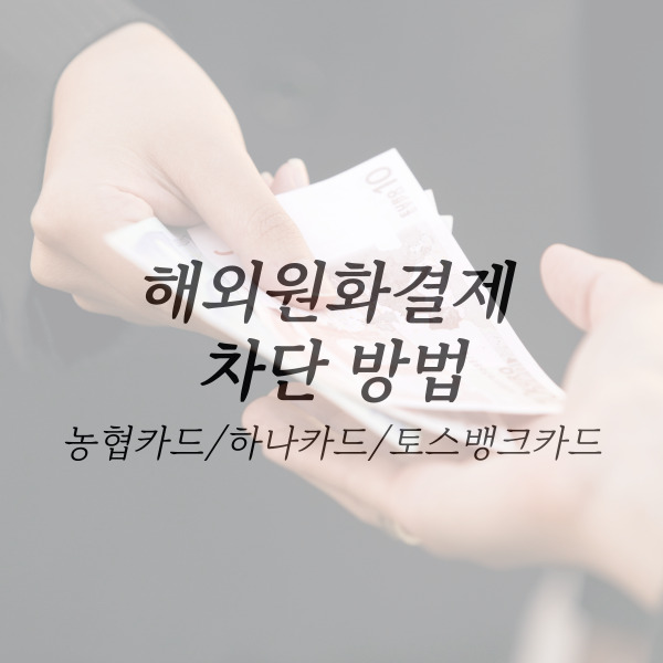 미국 여행 준비 3 해외 원화 결제 차단 농협카드하나카드토스뱅크 카드 네이버 블로그