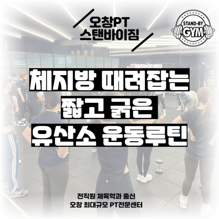 체지방 때려잡는 짧고 굵은 유산소 운동루틴 오창헬스장추천 오창pt 오창피티 스탠바이짐 오창점 네이버 블로그