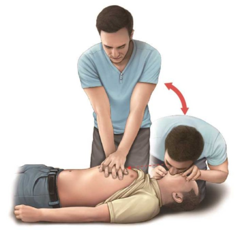 cardiac arrest & BLS & [ Vf, P-VT / asystole, PEA ] : 네이버 블로그