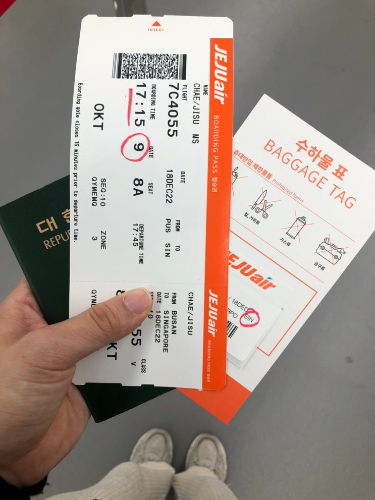 4박 6일 나홀로 싱가포르 여행3 1 2일차공항 숙소 토스트박스 아랍스트리트 리틀인디아 가든스바이더베이 사테거리