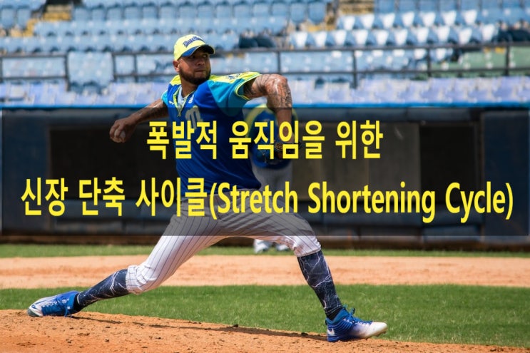 폭발적 움직임을 위한 신장 단축 사이클(Stretch Shortening Cycle) : 네이버 블로그