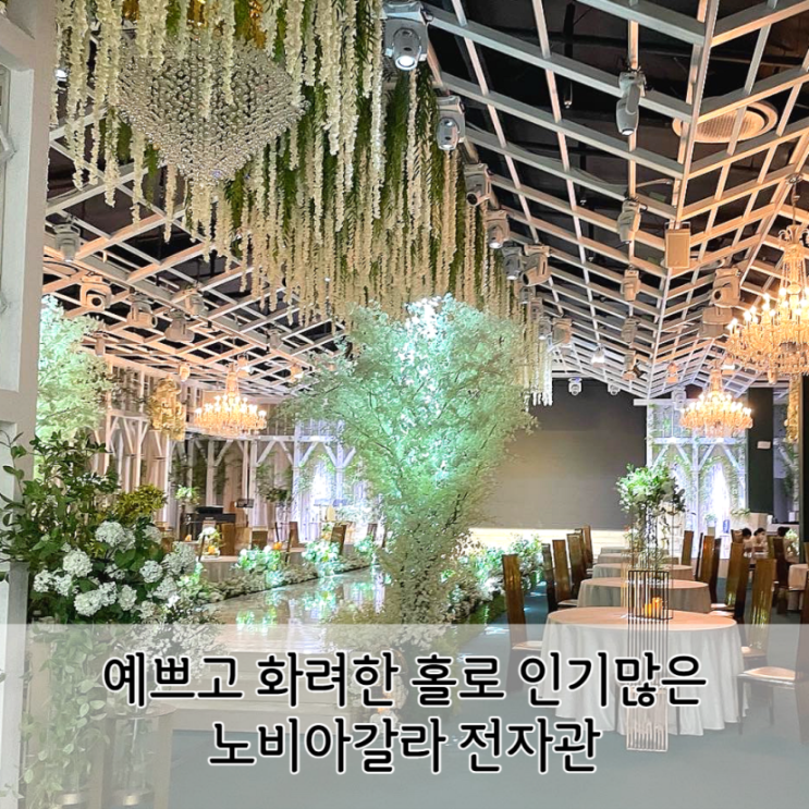 대구 북구 웨딩홀 노비아갈라 전자관 소개 네이버 블로그