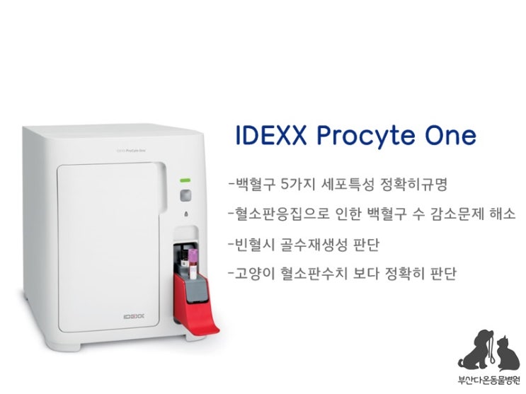 부산 다온동물병원/강아지 고양이 혈구 혈액 WBC 검사기계도입/ IDEXX Procyte One/백혈구검사 혈구검사 빈혈 혈소판 ...