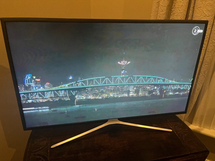 뉴질랜드 수도 웰링턴에서 맞이하는 4시간 빠른 New Year 새해 복 많이 받으세요 네이버 블로그