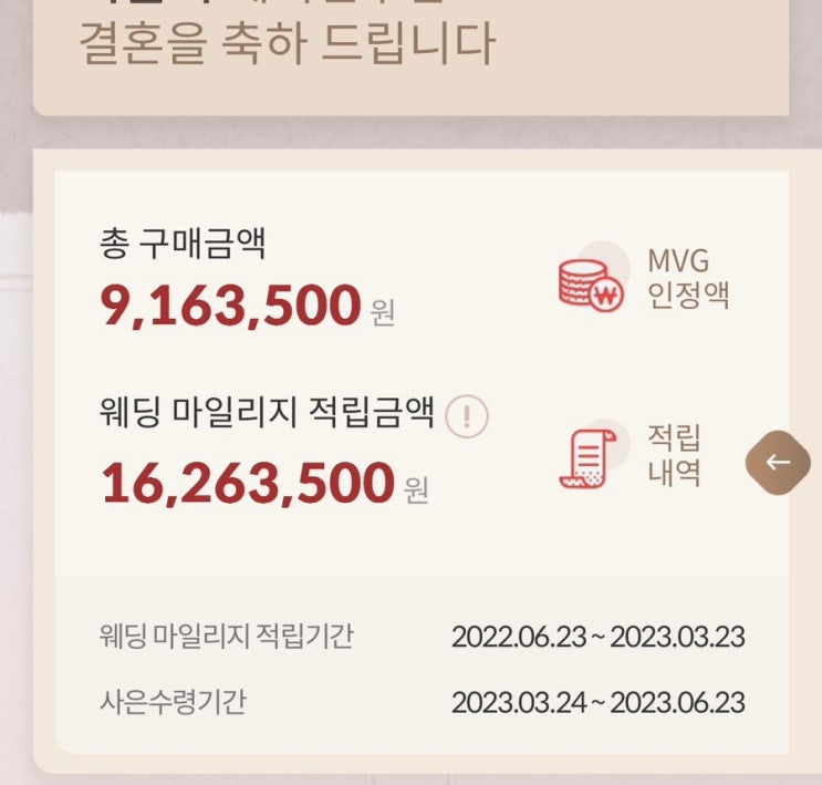 Wedding 롯데웨딩마일리지 더블마일리지 적립 꿀팁 2월 더블마일리지 일정 카드 재결제 결제수단변경 엘포인트적립 백화점