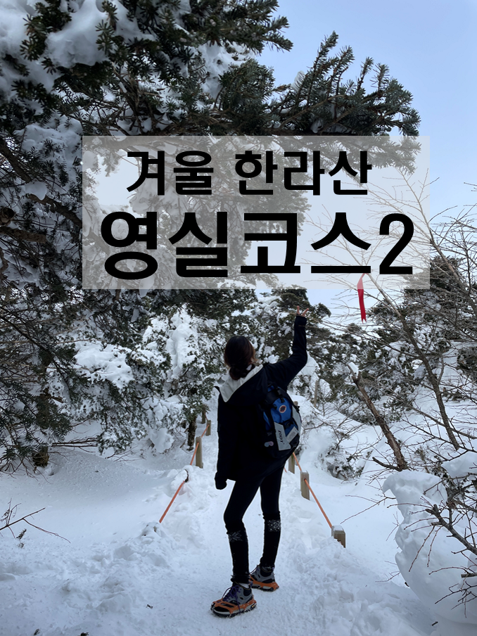 겨울 한라산 영실코스 윗세오름 남벽분기점 등산후기 꿀팁 정리 네이버 블로그
