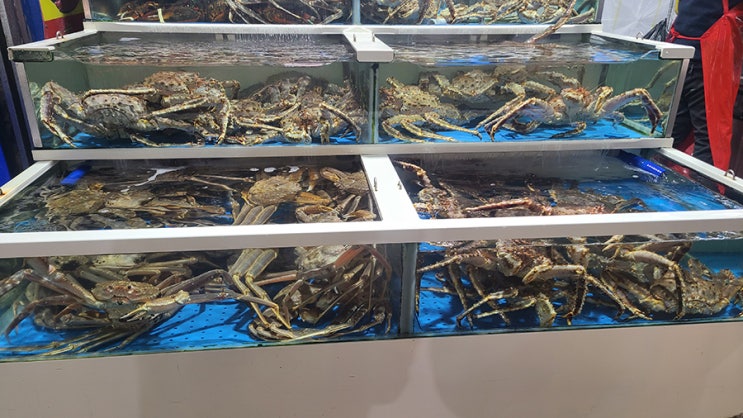 마포농수산물시장 킹크랩 대게 제로페이 대한민국수산대전 상품권사용 다이어트샐러드 연어샐러드만들기 네이버 블로그