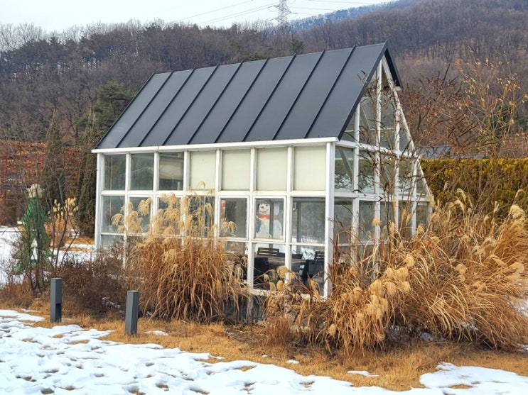이천 티하우스 에덴 카페 재방문 이천프리미엄아울렛 호두과자 네이버 블로그