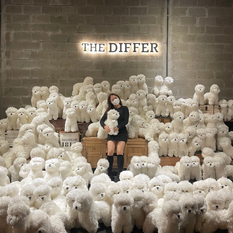 대구 북성로 카페: 비숑카페로 유명한 포토존 천국 더디퍼 : 네이버 블로그