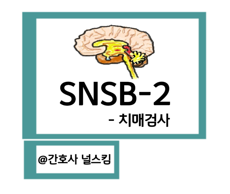 SNSB-2 (치매검사) : 특징 및 구성 : 네이버 블로그