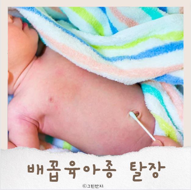 신생아 배꼽피 소독 진물 육아종 배꼽탈장 관리방법 네이버 블로그
