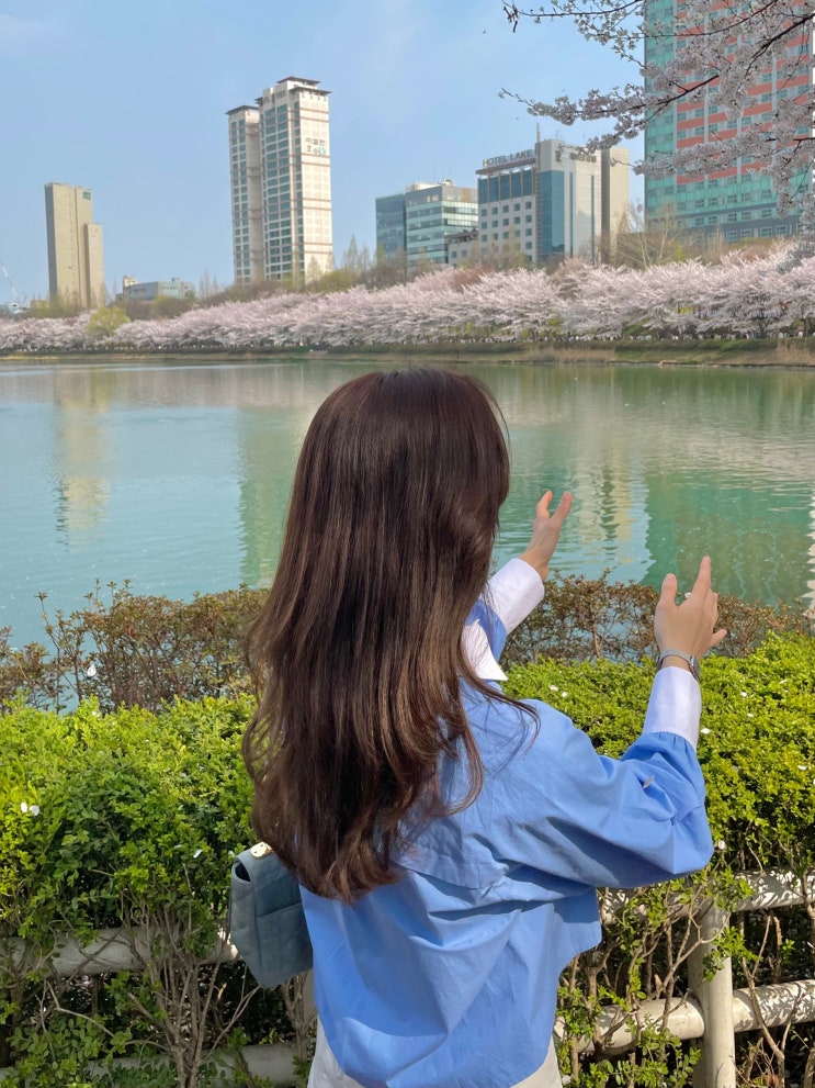 신논현역 미용실 차홍룸 신논현점 올리브 브라운 애쉬카키 염색 By 이예인 디자이너쌤 ♥ 네이버 블로그