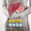 A형 간염 예방접종 대상 및 백신 종류별 접종 시기 네이버 블로그