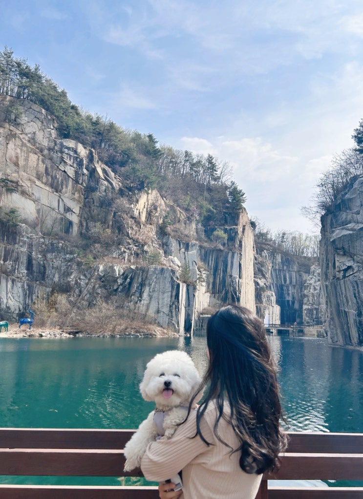 포천 애견동반 포천 여행 아트밸리 ㅣ서울근교 여행코스 ㅣ 모노레일 공사중 ㅣ 경기 애견동반 여행 네이버 블로그
