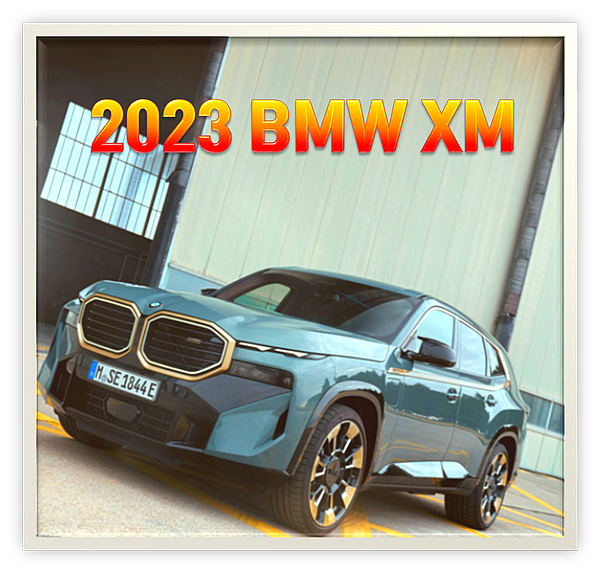 2023 BMW XM XM A/T 모의견적 가격 리스 Vs 장기렌트 비교 : 네이버 블로그