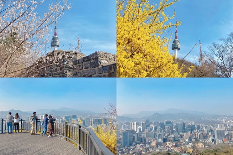 명동역에서 걸어서 남산서울타워 올랐다가 버스타고 내려왔지롱 ★ 코스 전망대 네이버 블로그