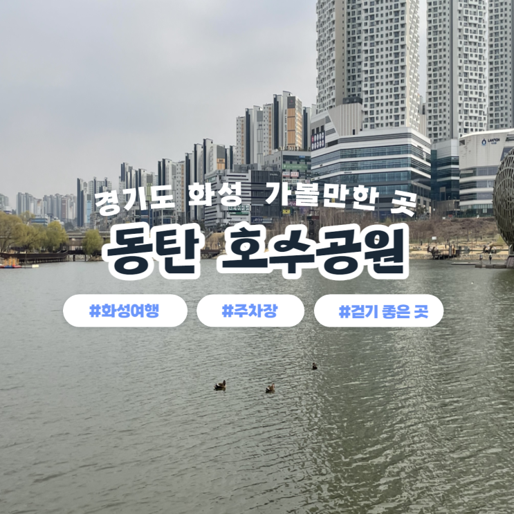 경기도 화성 가볼만한곳 동탄 호수공원 주차장 자전거 루나쇼 일정 피크닉 돗자리 나들이 네이버 블로그