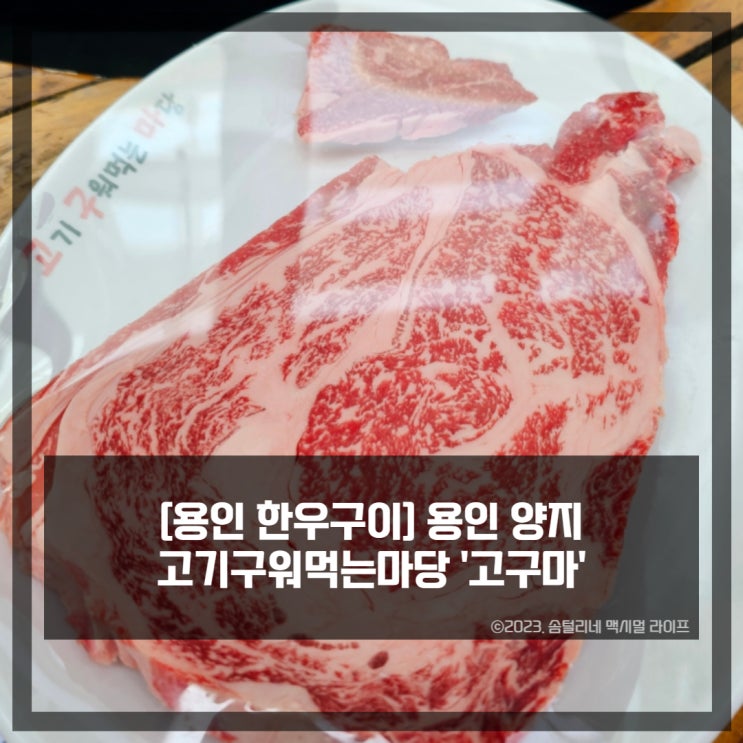 용인 한우구이 용인 양지 고기구워먹는마당 고구마 네이버 블로그